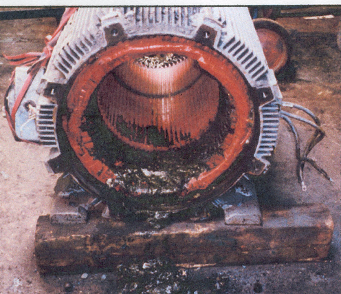 Electric Motor Ball Bearing Lubrication Pitfalls - HECO